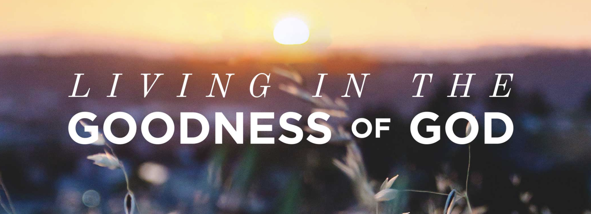 Fruit of the Spirit – Goodness – Praxis: Faith in Action