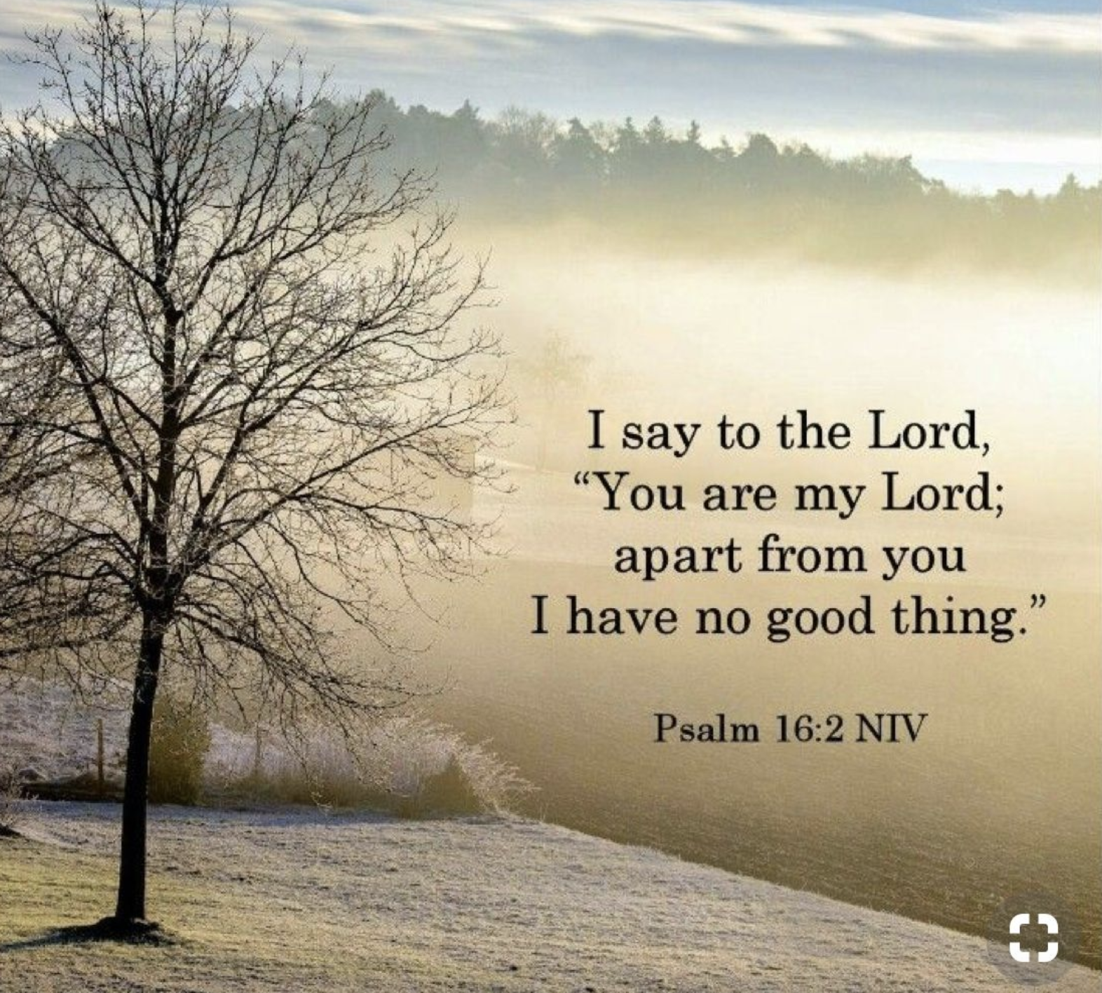 This Day, Every Day, Choose God – Praxis: Faith in Action
